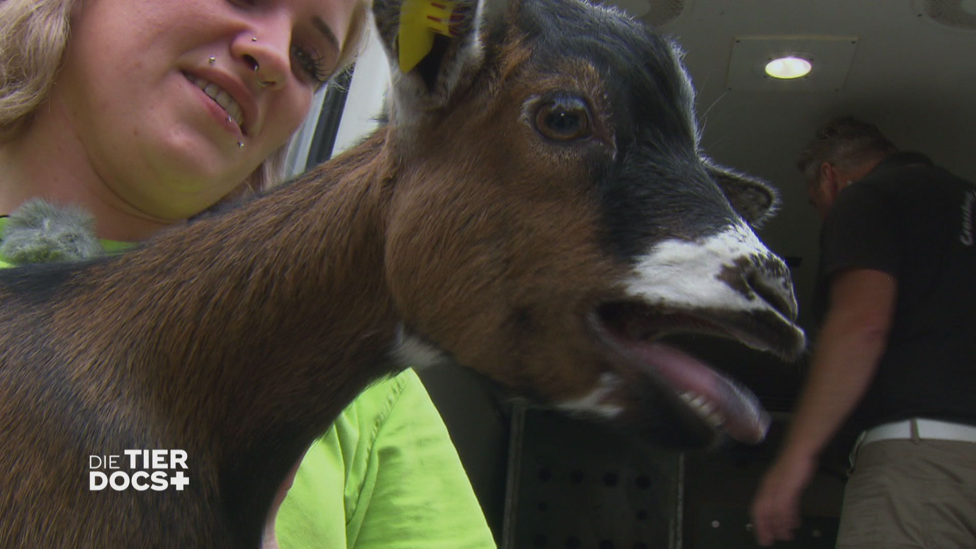Die Tier-Docs! Pfotenhelden mit Herz Staffel 1 Folge 34: Meckernde neue Mitbewohner