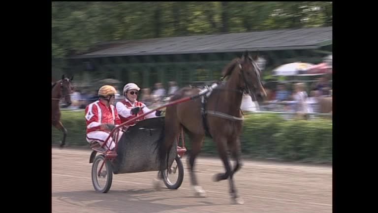 Die Lugners Staffel 1 Folge 6: Die Lugners - Staffel 1 Folge 6 - Vollgas, Mörtel