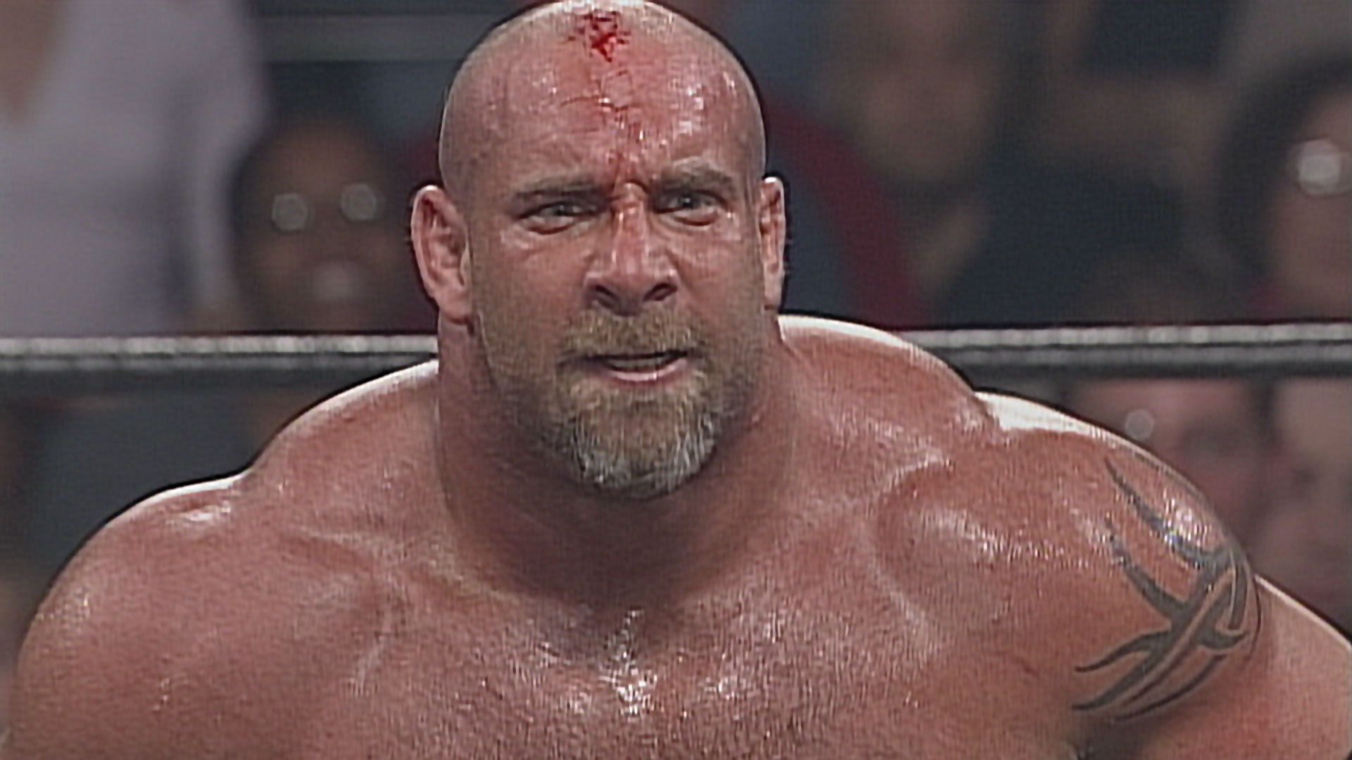 Die WWE-Schatzjäger Staffel 2 Folge 14: Goldberg