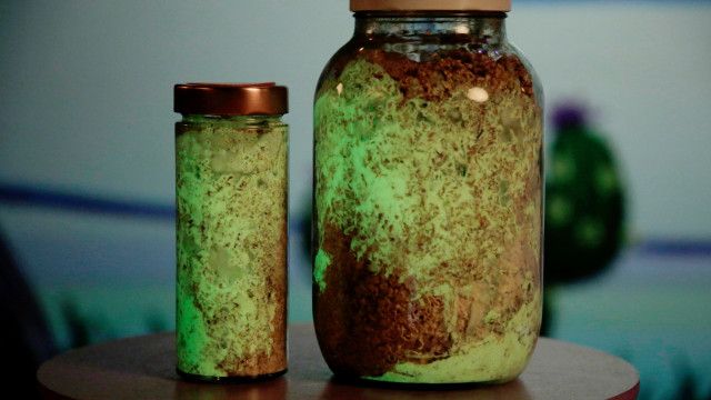 Museum AHA Staffel 1 Folge 64: Museum AHA