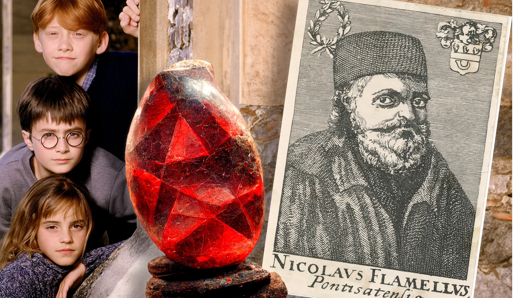 "Shrek-Saga": So schaust du die Filme in der richtigen Abfolge