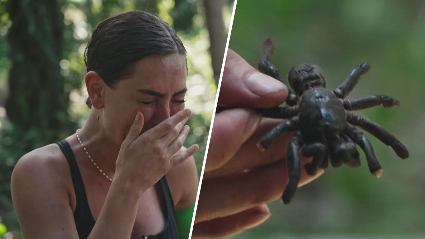 So siehst du das Finale von "Good Luck Guys" 2025 auf Joyn