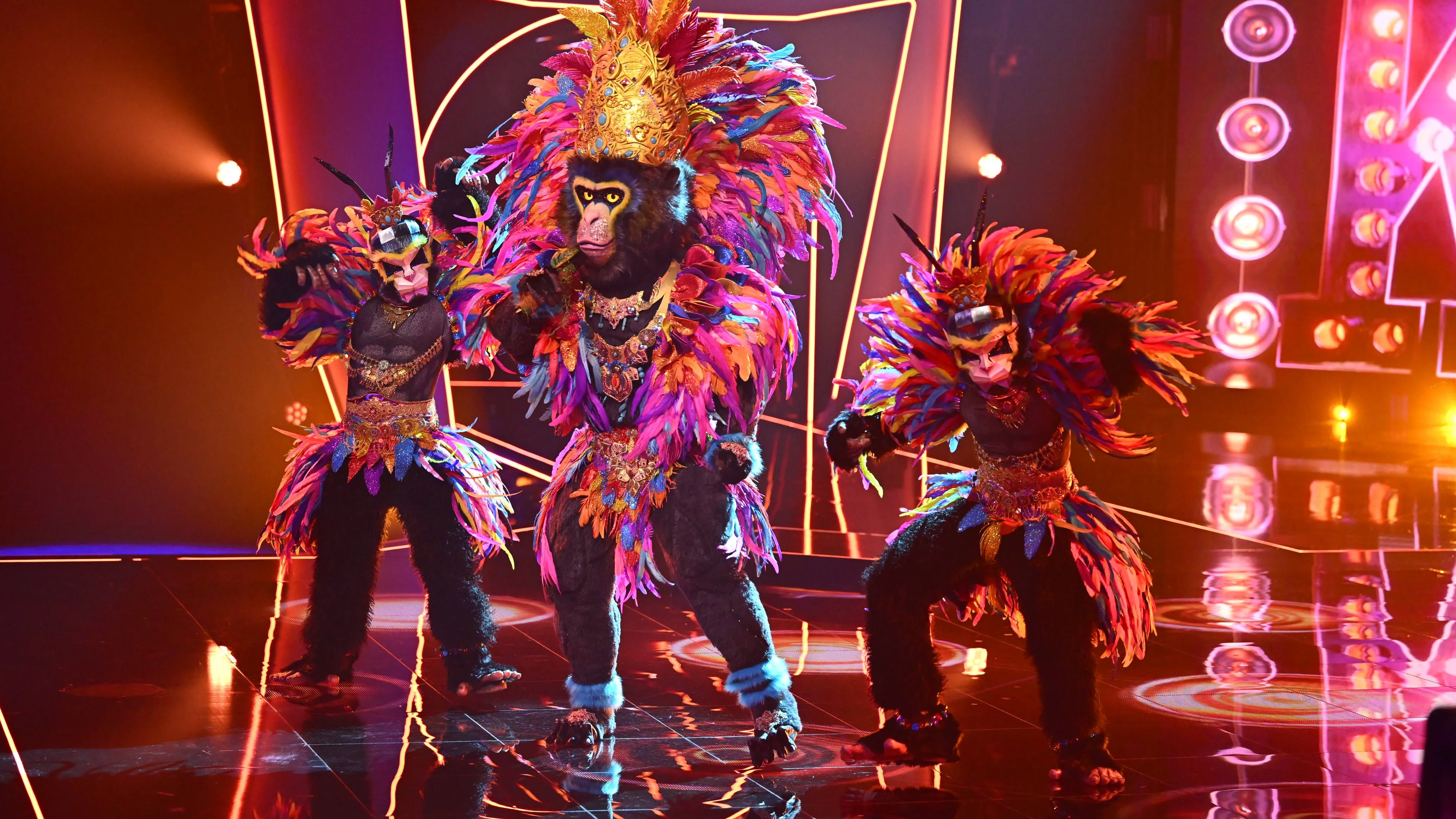 "Reality Backpackers" 2025: Alle Infos zu Staffel 3