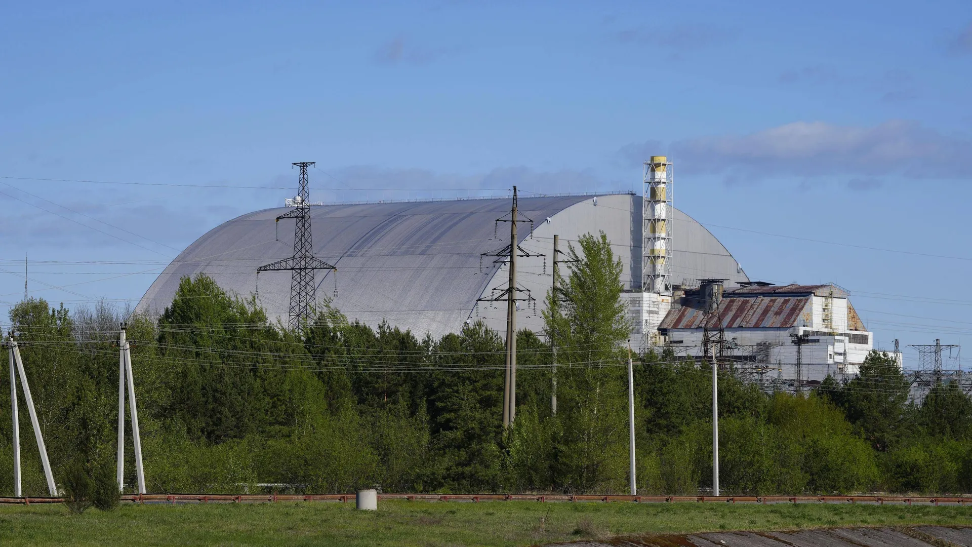 Überleben in der Todeszone: Schwarzer Pilz trotzt Strahlung in Tschernobyl