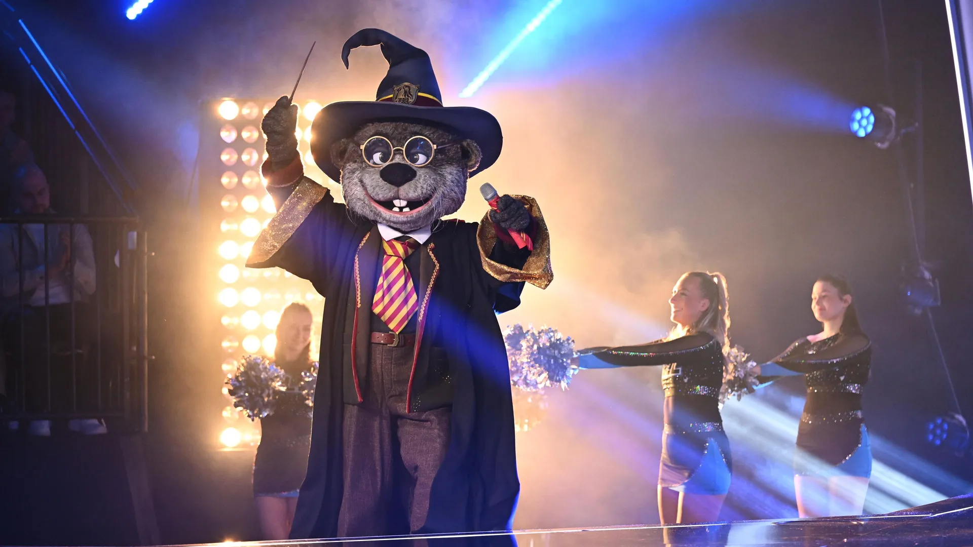 Clemens Schick als Harry Otter bei "The Masked Singer" enthüllt: Diese ...