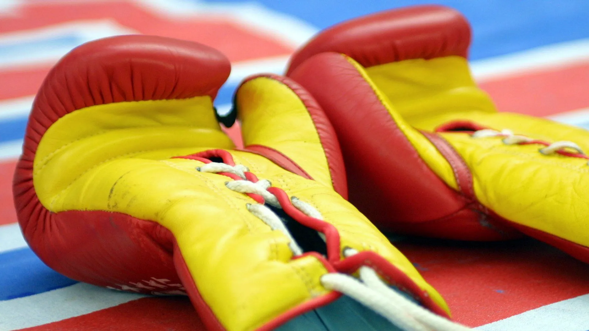 Isis Sio: 19-jährige Boxerin nach Knockout im künstlichen Koma