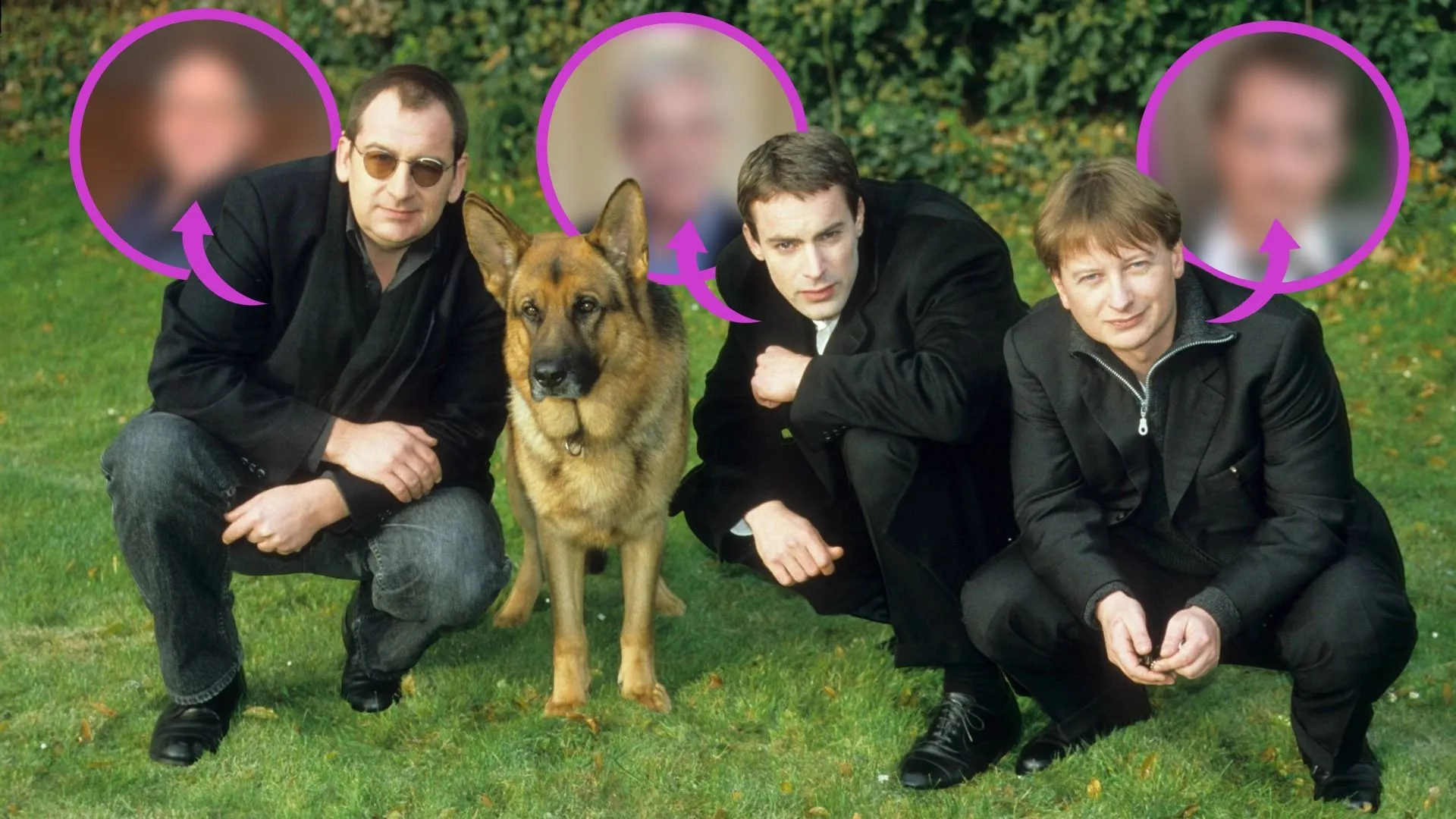 "Kommissar Rex"-Comeback: Wie bewerten Kritik und Fans die erste Folge?