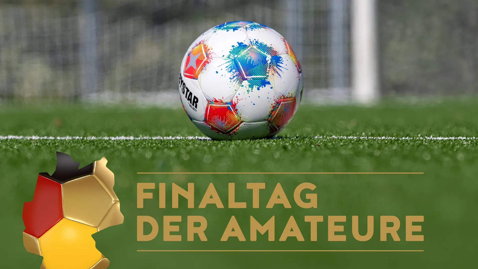 Finaltag der Amateure 2026 jetzt live: Übertragungen im Free-TV und ...