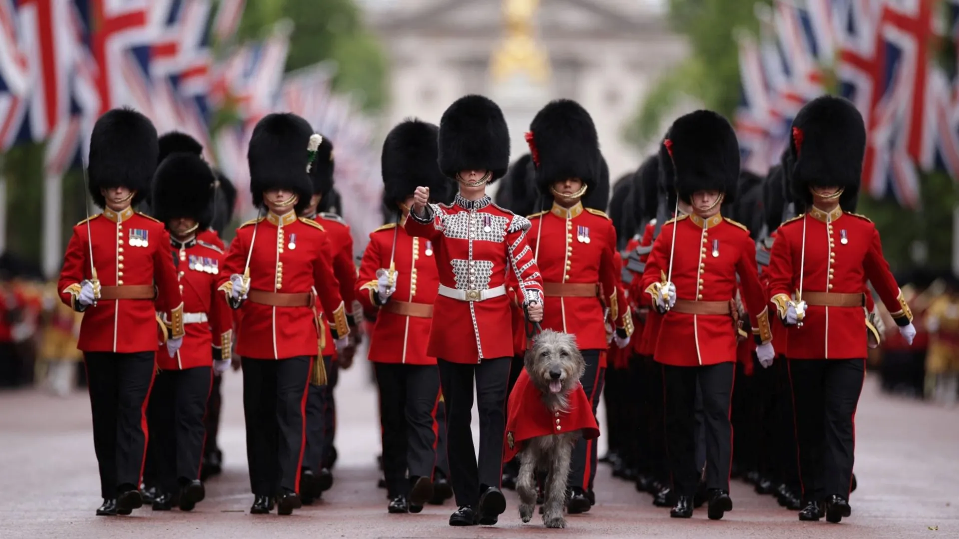 JETZT LIVE: "Trooping the Colour"-Parade für König Charles in London